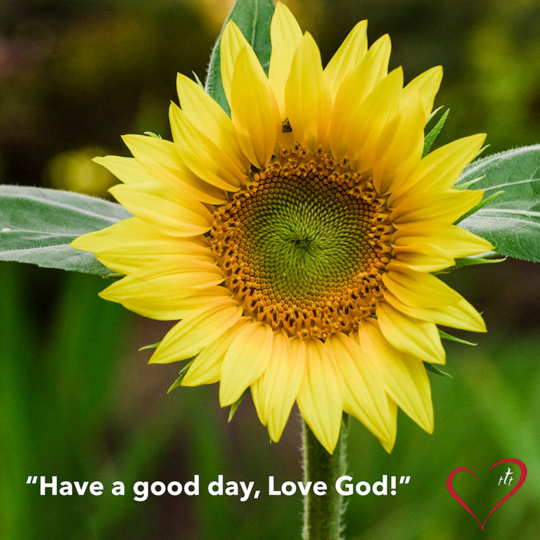 » Encouragement for a Peacefull Heart
